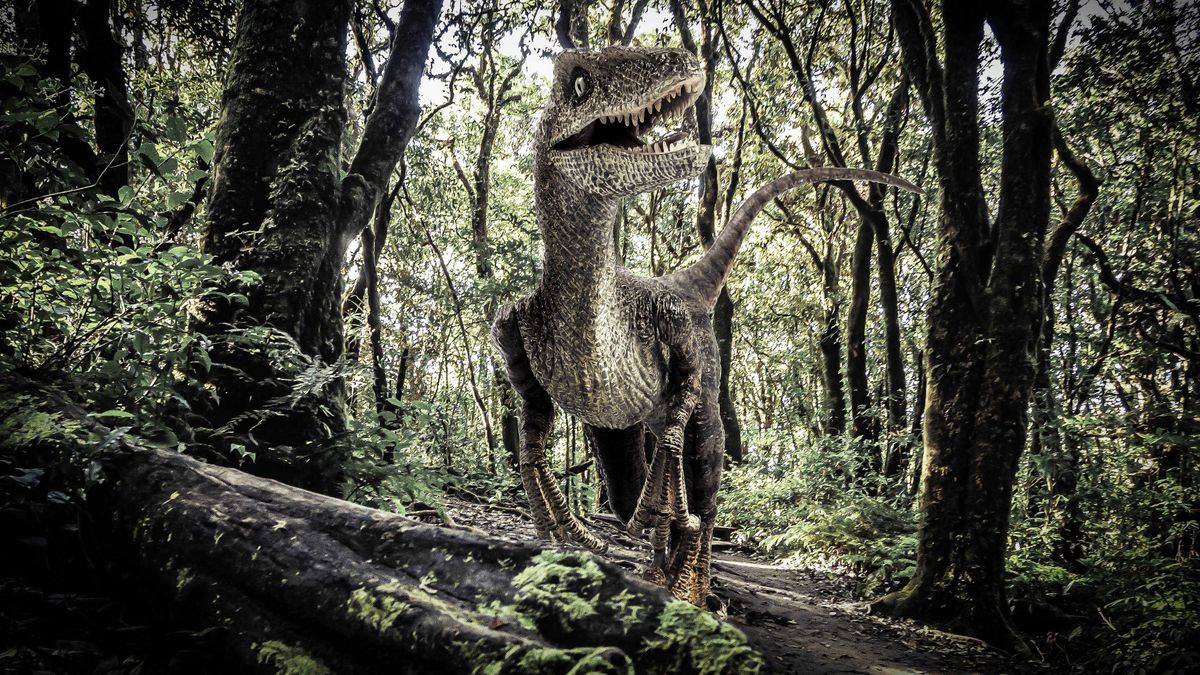 Makoshika visitor narrowly escapes velociraptor attack – Park Rangers ...