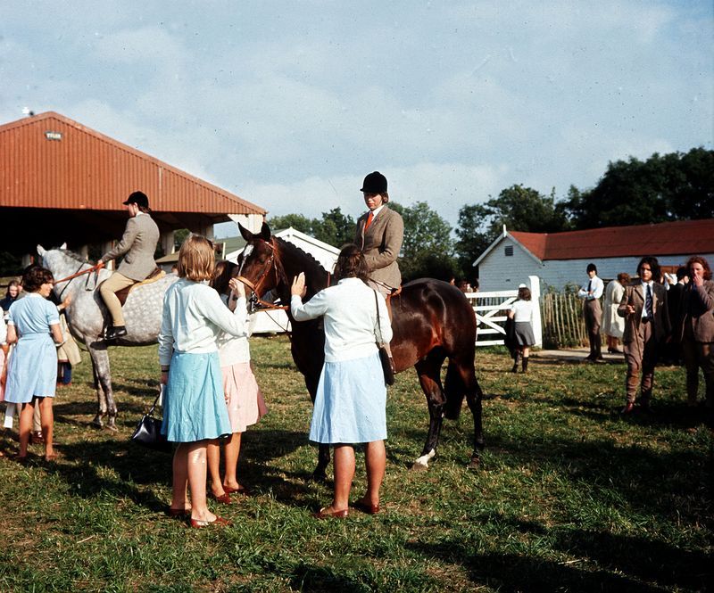 Princess Anne in Real Life | 65 Photos of Princess Anne in the 1960s ...