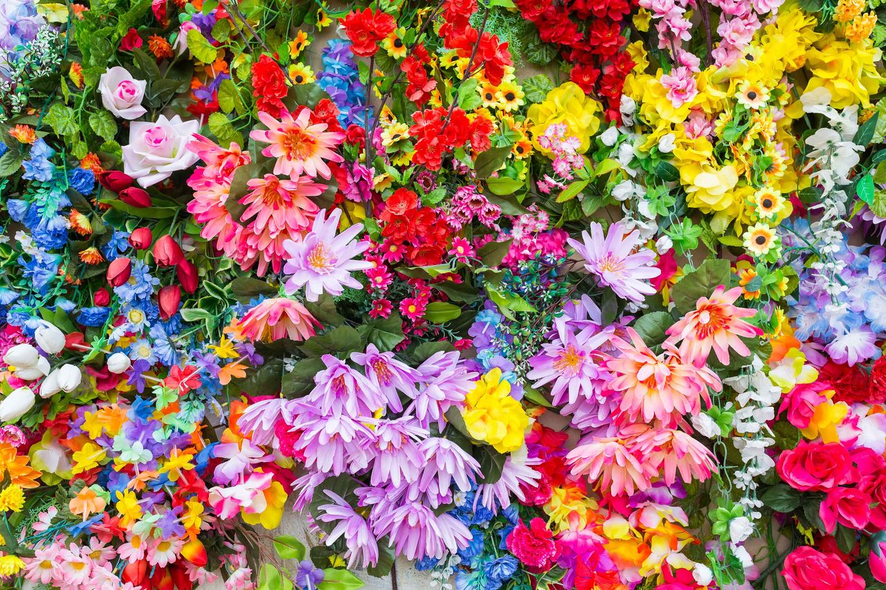 Flower wall ideas: 14 blooming backdrops for decorating special ...