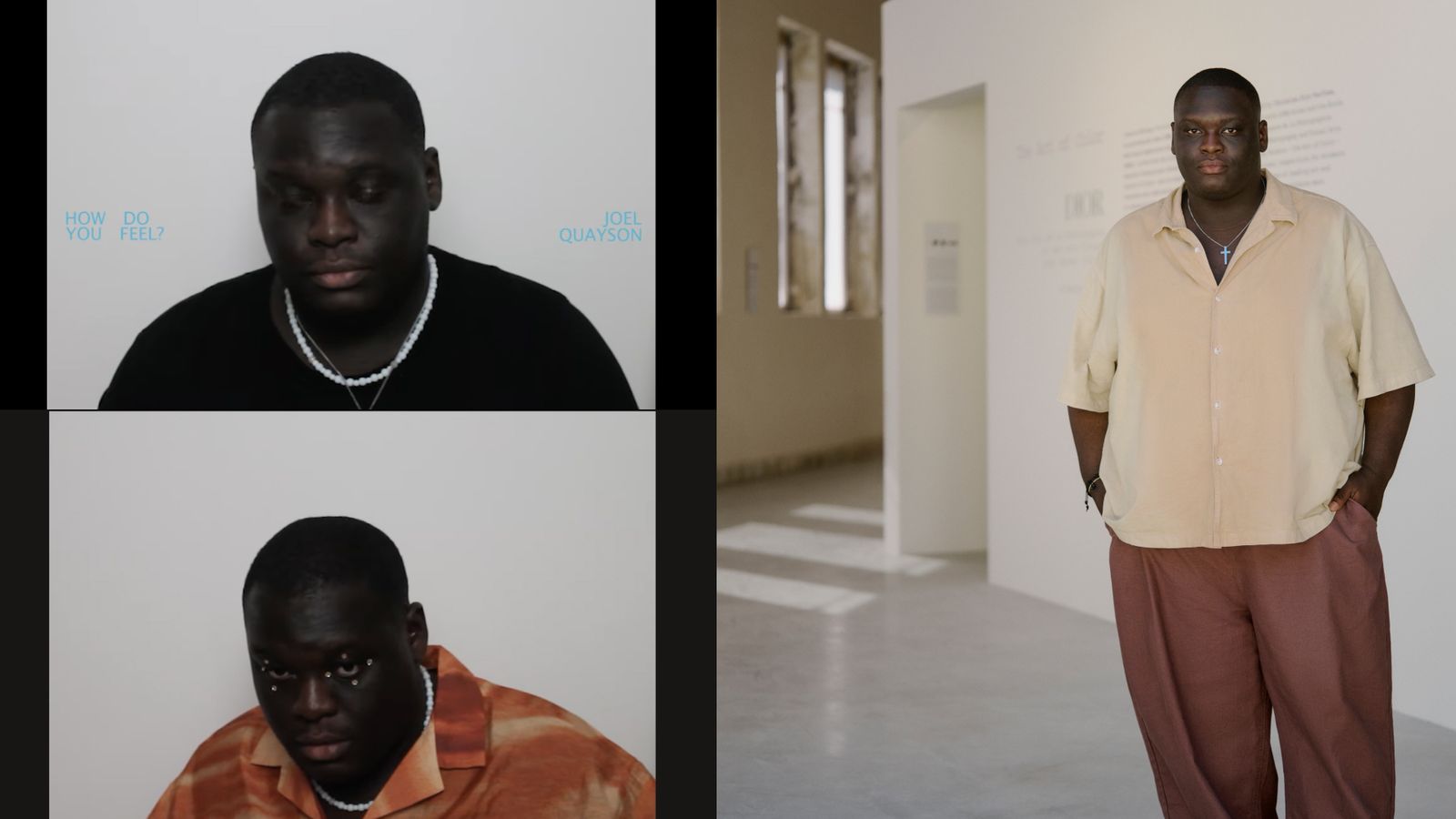 Joel Quayson on Dior Art of Color-Winning Video "How Do You Feel ...