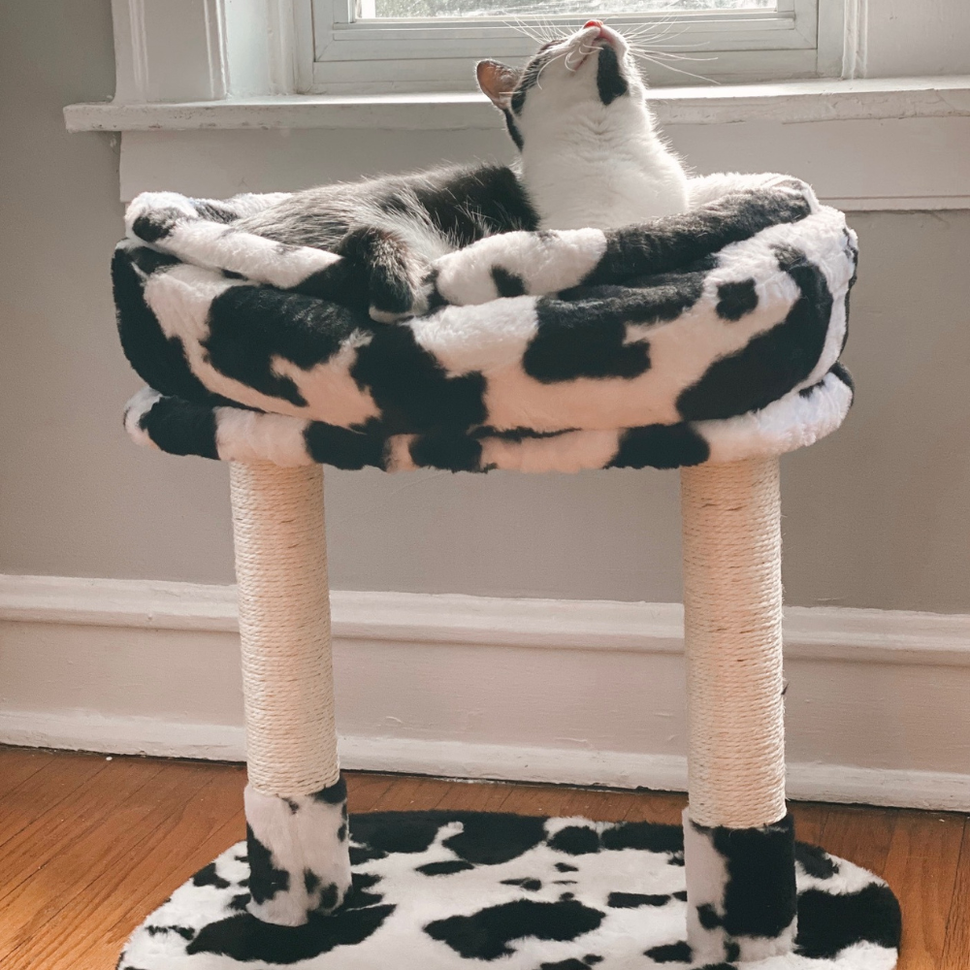 We found the 6 best cat trees for cats who love to climb | PetsRadar