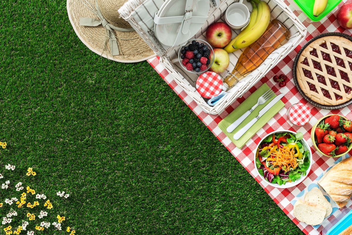 5 products to solve all your picnic problems | The Week