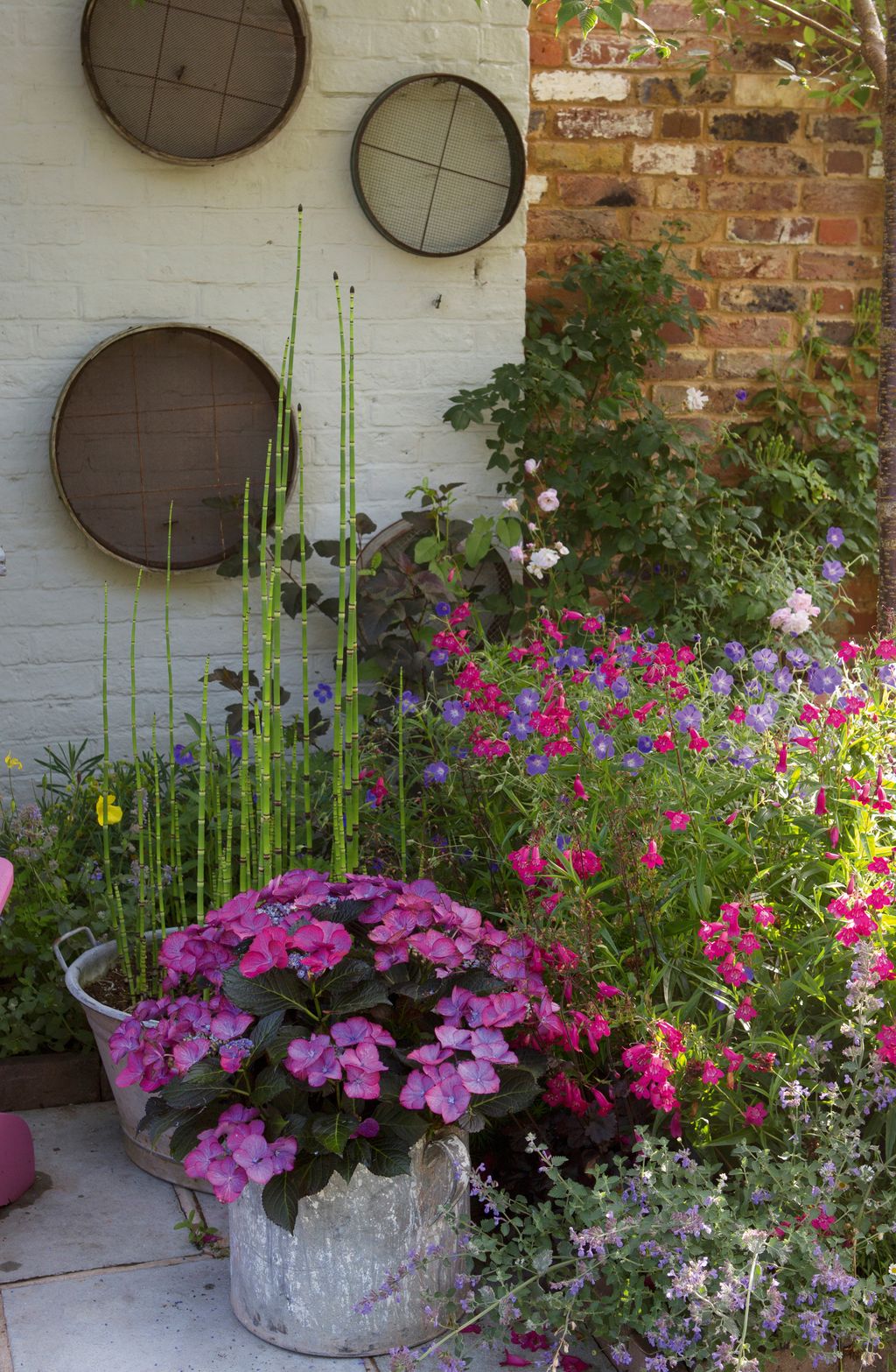 Cottage garden plants – 12 floral must-haves in your cottage garden ...
