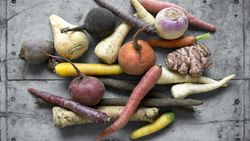 Vegetables to harvest in December: 7 more unusual crops | Homes and Gardens