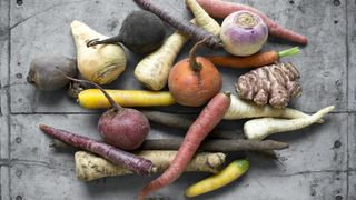 How to propagate grape vines from cuttings or layering | Homes and Gardens