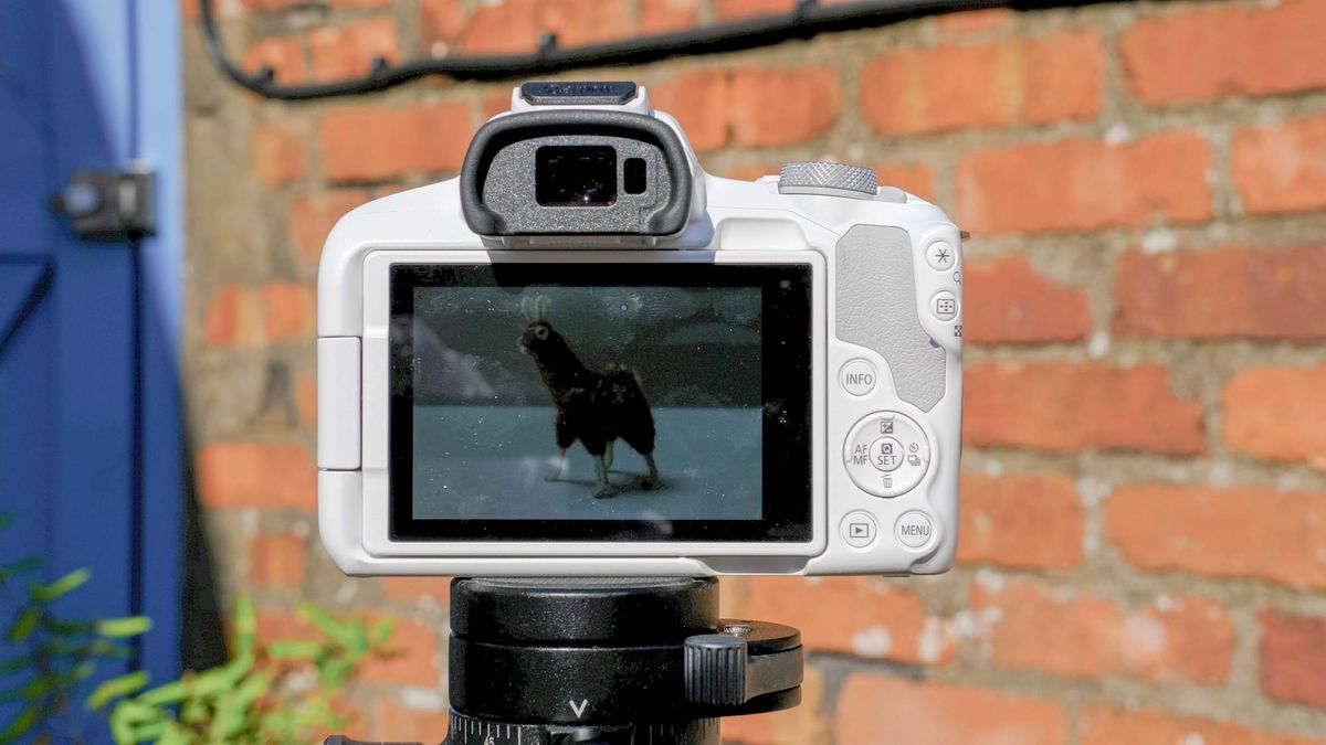 Canon EOS R50 review | Tom's Guide