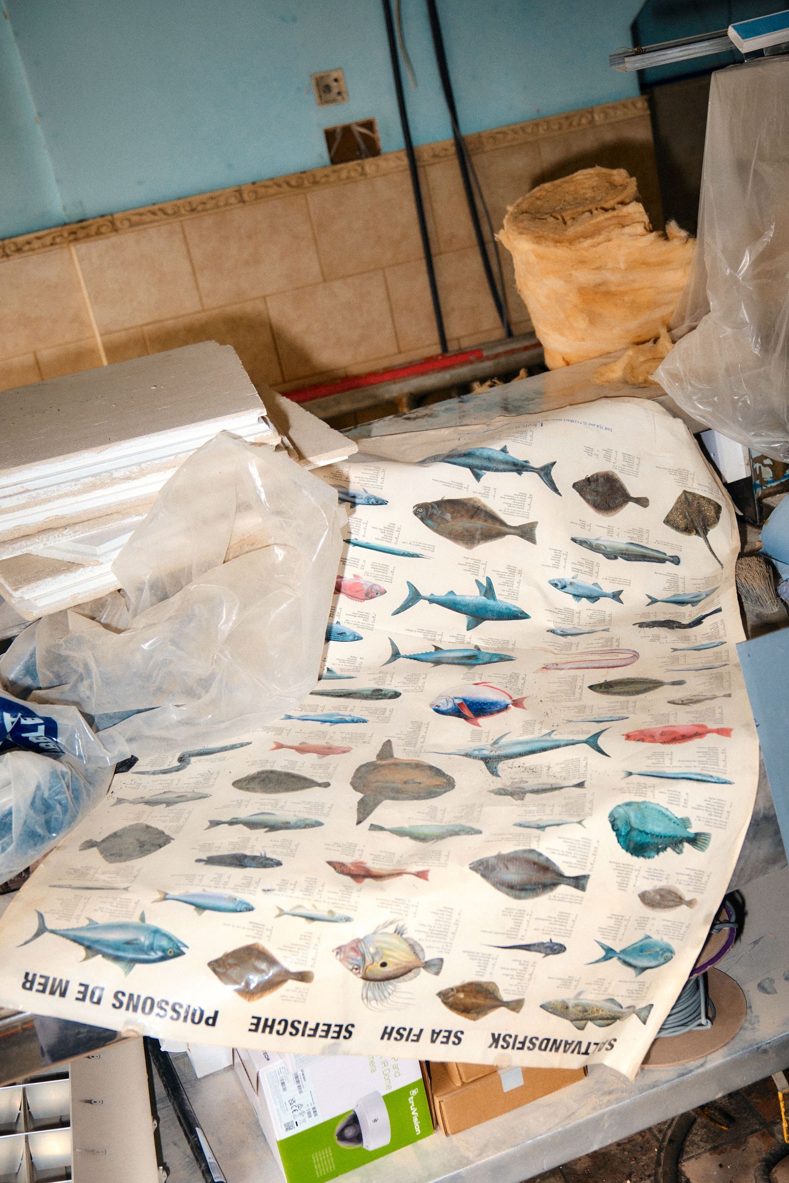 Tollington's Fish Bar review: a taste of Barcelona in north London ...