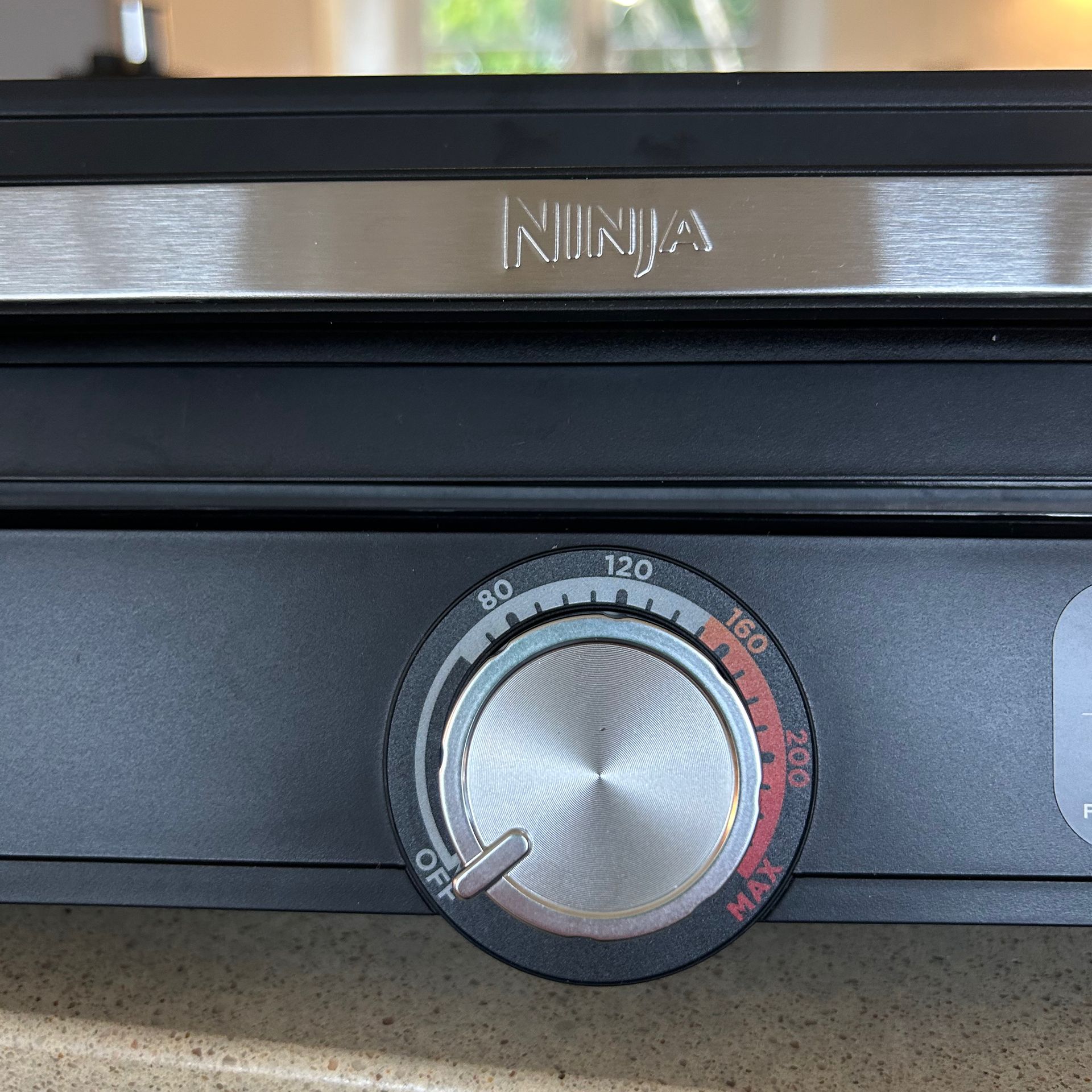 Ninja Sizzle Indoor Grill & Flat Plate Review: Will Ninja’s indoor ...