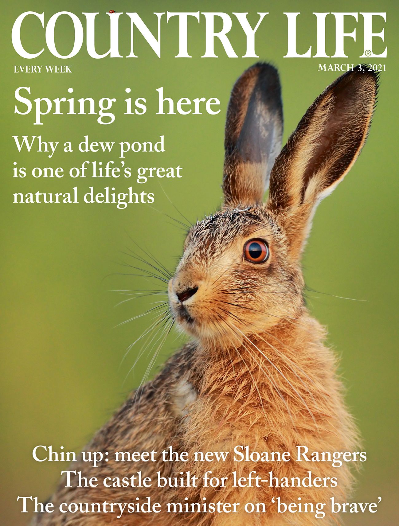 Country Life 3 March 2021 | Country Life