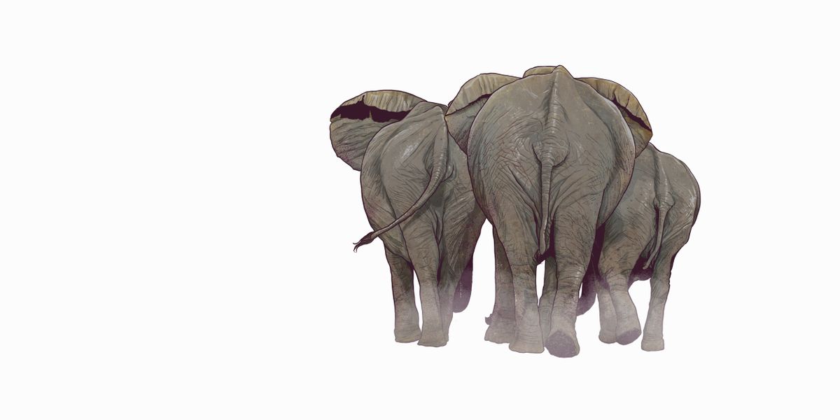 How the Republican establishment learned to shirk responsibility | The Week