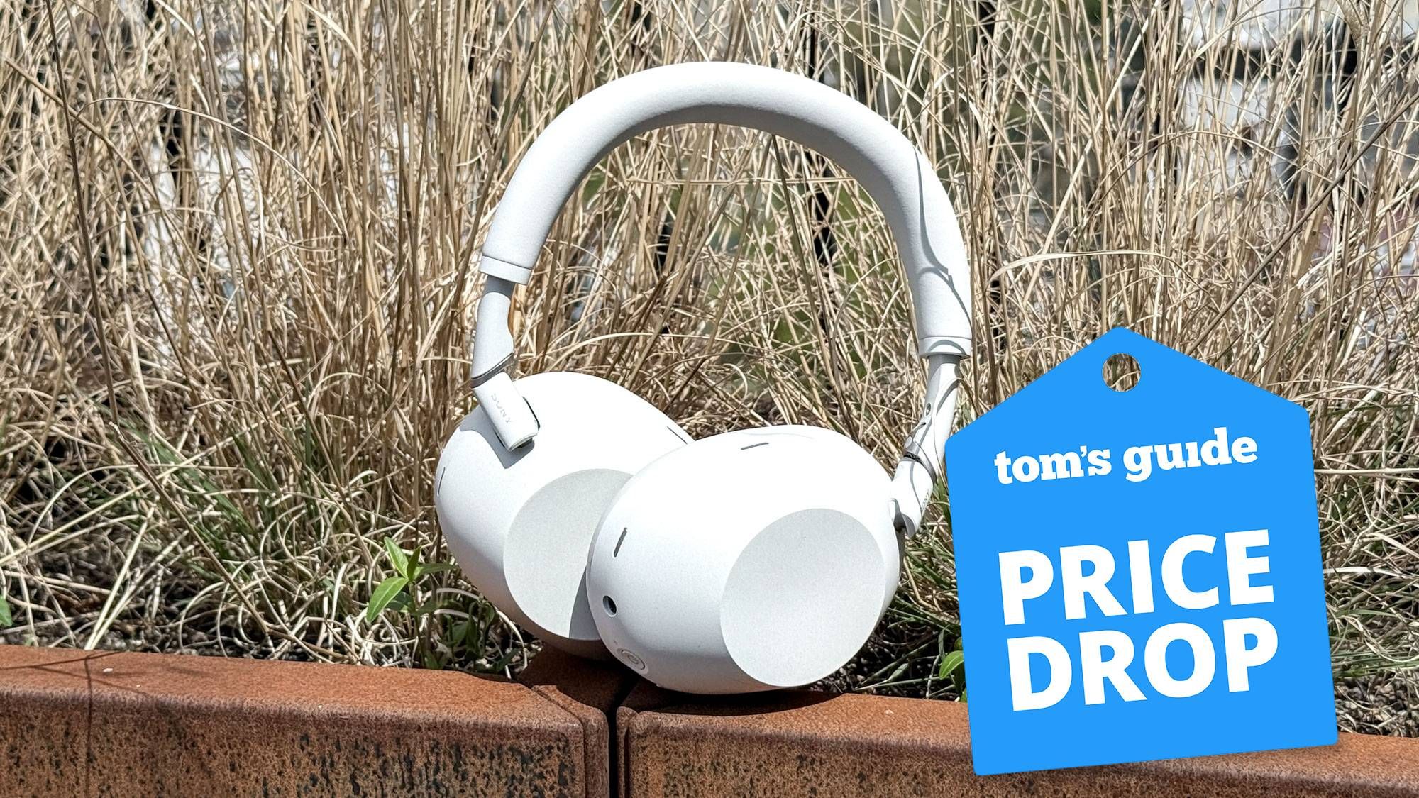 Listen up! Sony's flagship noise-cancelling headphones just fell back ...