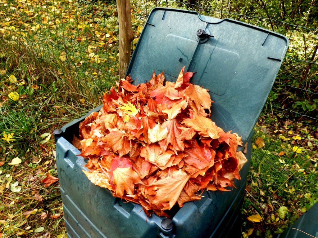 Composting Leaves - How To Compost Leaves | Gardening Know How