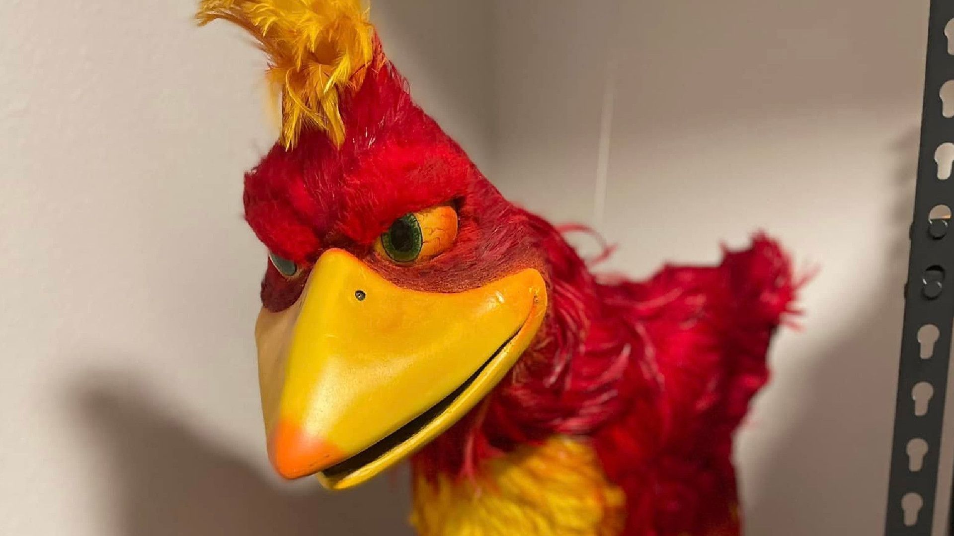 This animatronic Banjo-Kazooie puppet showed up for 1 second in a '90s ...