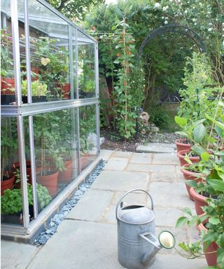 Greenhouse mistakes: 5 of the most common errors to avoid | Homes and ...