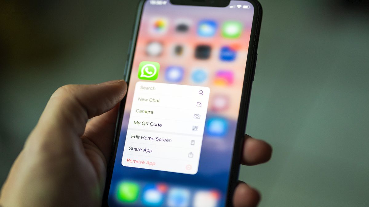 Watch out Zoom, WhatsApp Desktop just got a big update | T3