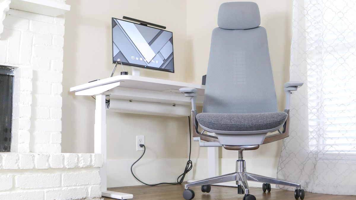 Haworth Fern review: total back support from a uniquely designed office ...