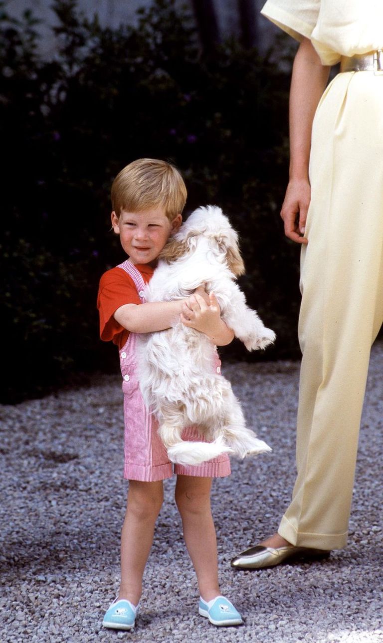 Pictures of Royal Kids Acting Like Normal Kids Through the Years ...