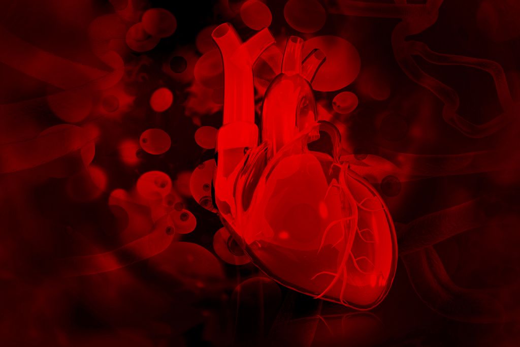 Spaceflight and long-distance swimming shrink the heart | Live Science