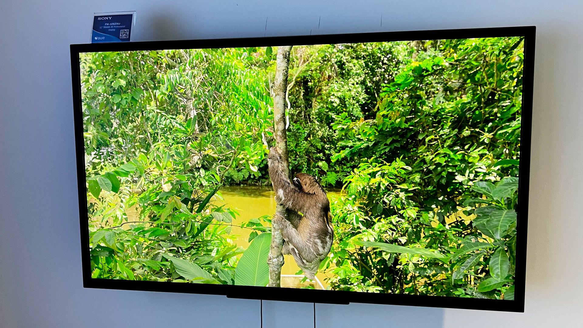Nobody knows about Sony's 32-inch 4K TV – but they should | TechRadar