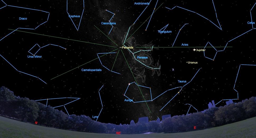 The Perseid meteor shower peaks in August. Here's how to see it | Space