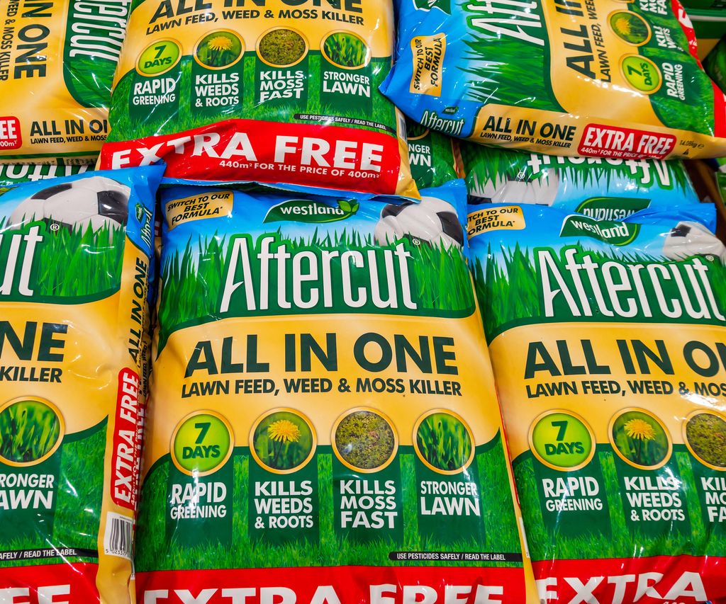 Weed and feed: experts explain whether or not to use this method ...