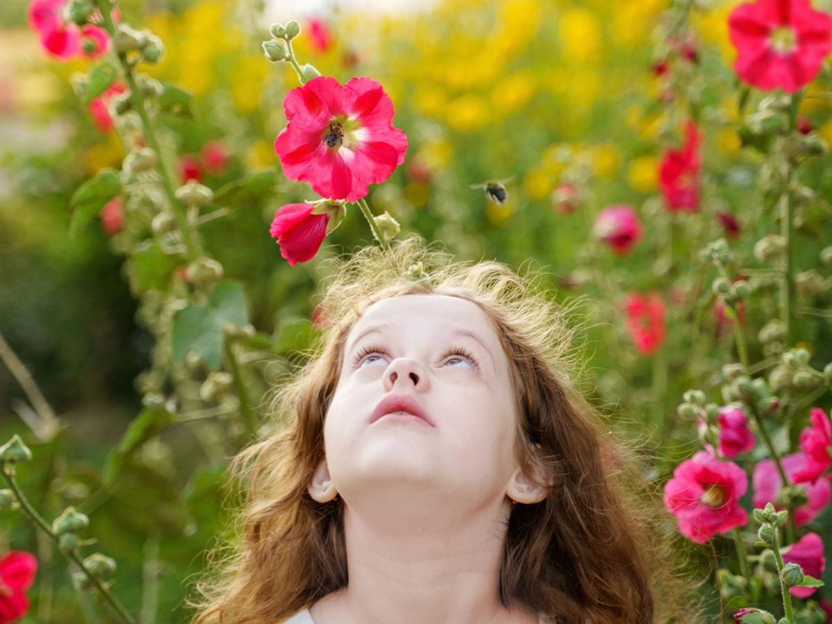 Lessons On Pollination – How To Teach Kids About Pollinators ...