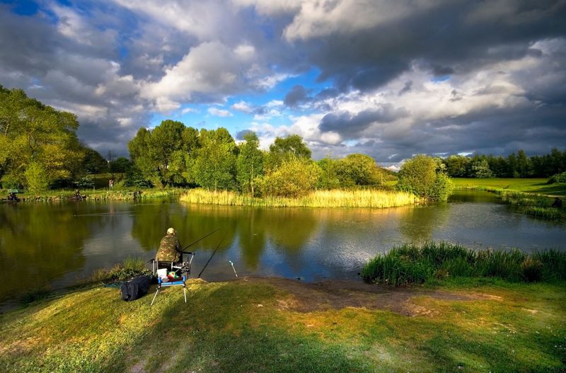 The Country Life Podcast | Country Life