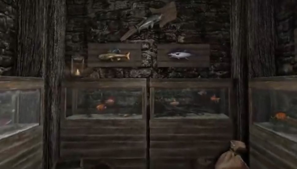 Skyrim: Anniversary Edition adds new aquarium feature | GamesRadar+