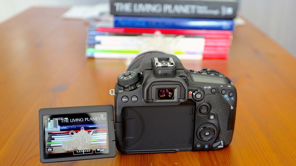 Build, handling & autofocus - Canon EOS 90D review - Page 2 | TechRadar