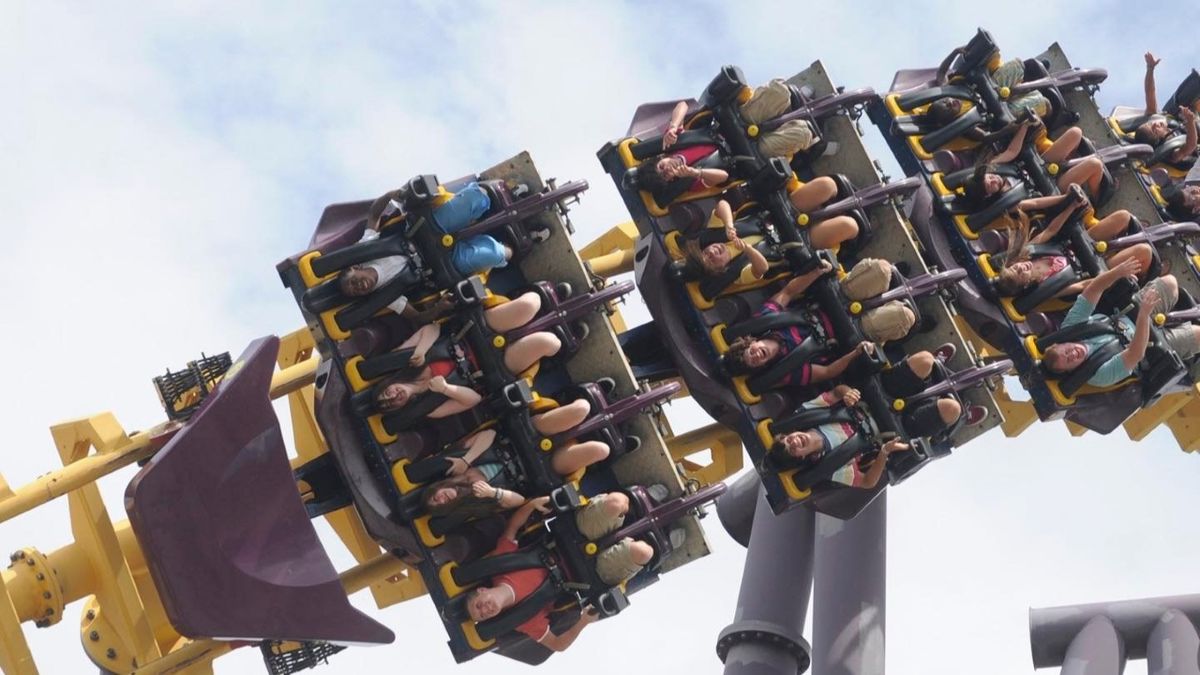 The Internet Did Not Hold Back After 'Dumba--' Theme Parkgoer Climbed A ...