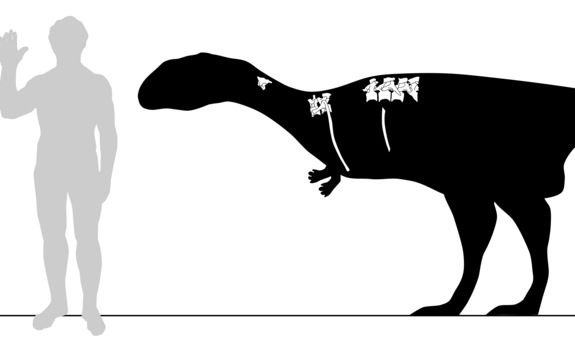 New Meat Eating Dinosaur Species Found Dahalokely Tokana Live Science