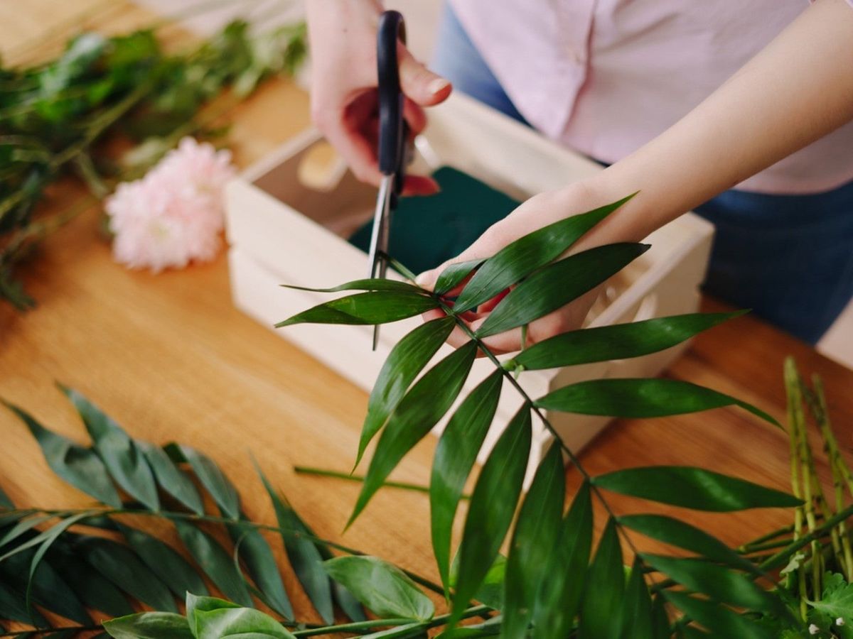 Dark Green Fillers For Flower Arrangements | Gardening Know How