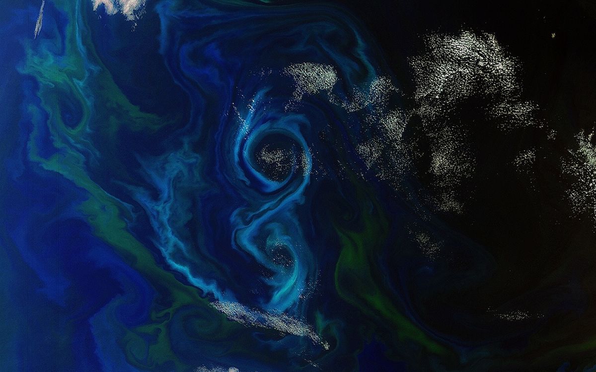 Satellite Snaps Brilliant Figure 8 Algae Bloom Space Wallpaper | Space