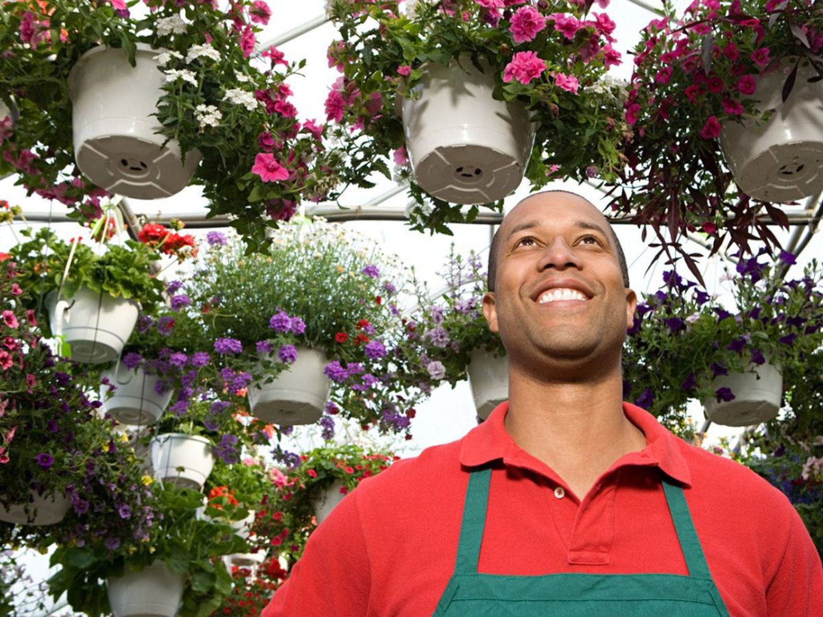 Plant Nursery Business Requirements How To Start A Plant Nursery plant-nursery-business-requirements-how-to-start-a-plant-nursery