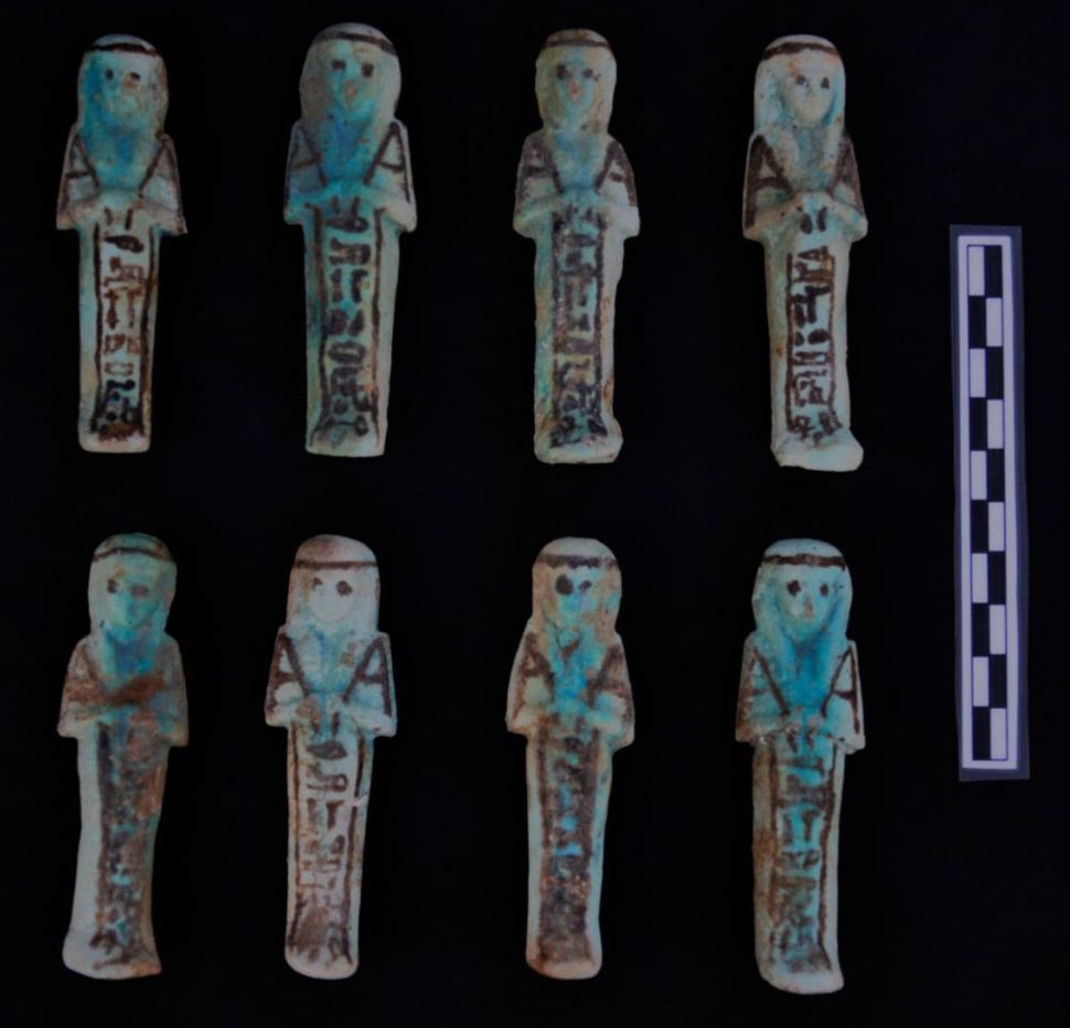Animal Mummies Discovered at Ancient Egyptian Site | Live Science