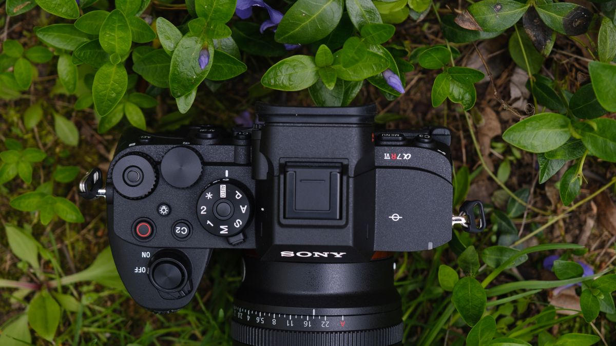 The new Sony A7R VI has the highest resolution fully stacked sensor yet ...