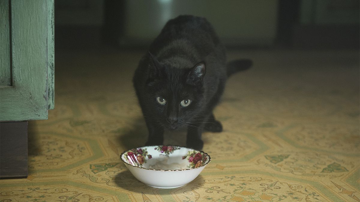 Chilling Adventures of Sabrina ending explained - everything you need ...