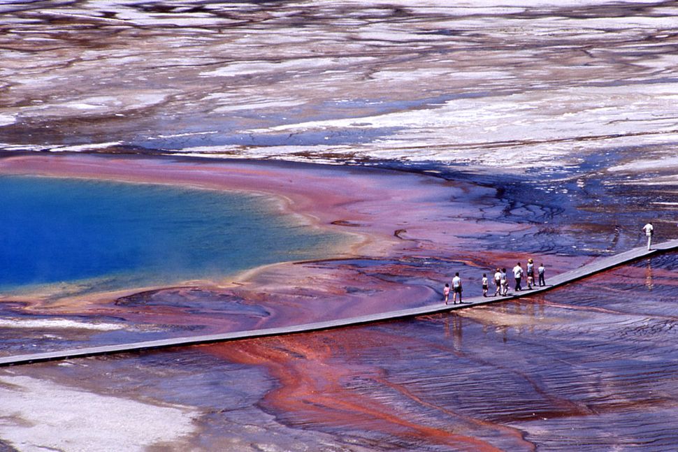 Rainbow Basin: Photos of Yellowstone's Colorful Grand Prismatic Hot ...