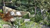 Best trees to plant close to a house: 10 inspiring ideas | Homes and ...