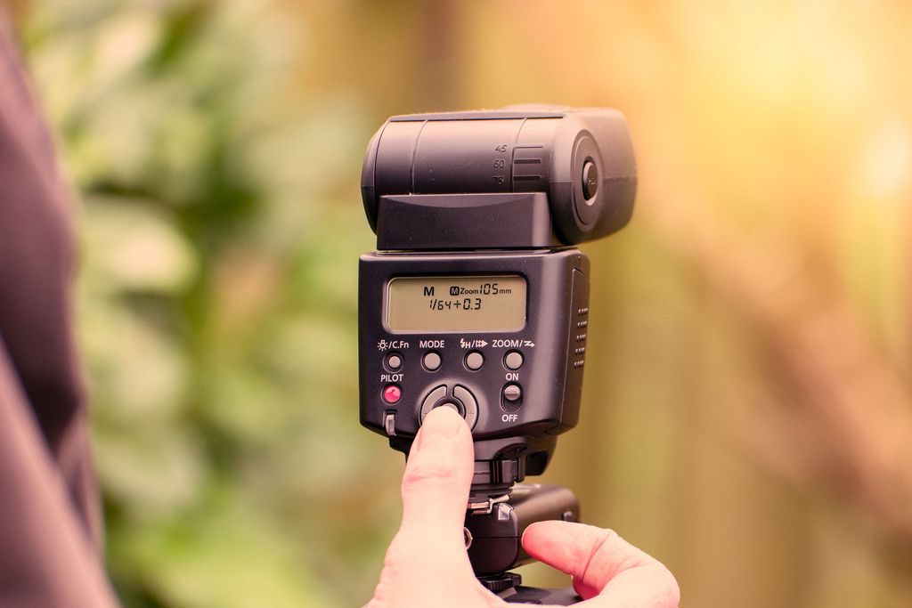 Shoot amazing flower portraits in your garden | Digital Camera World