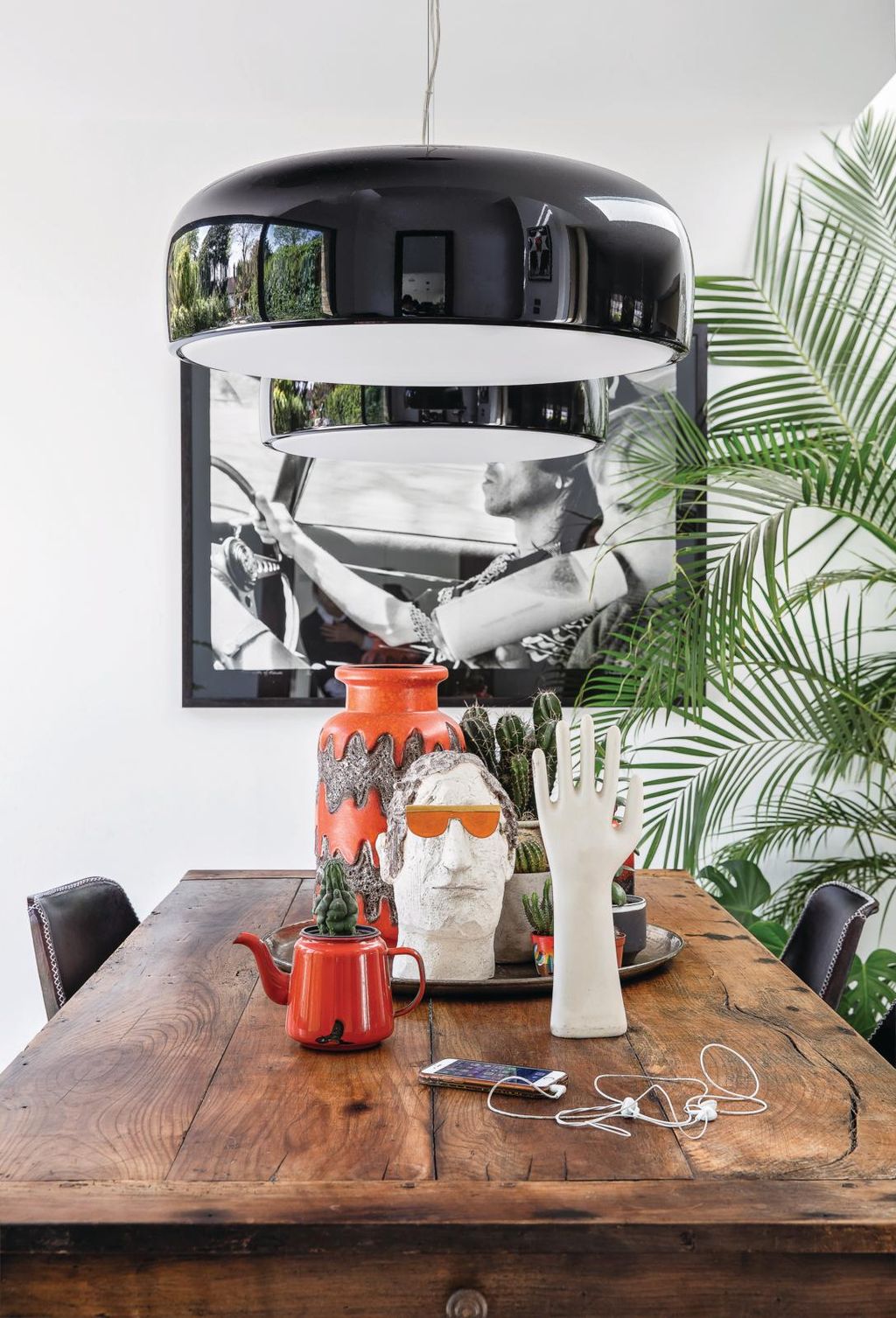 5 Clever Tricks to Use Indoor Screening Plants to Make Your Home Feel ...