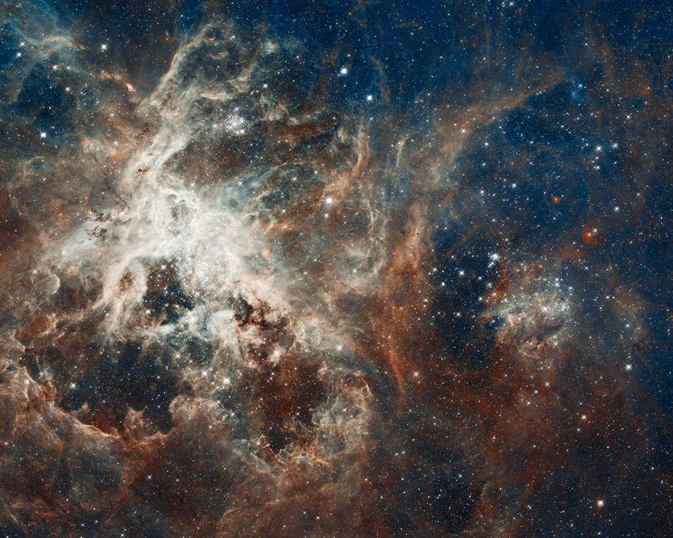 Cosmic Spider: Amazing Tarantula Nebula Photos | Space