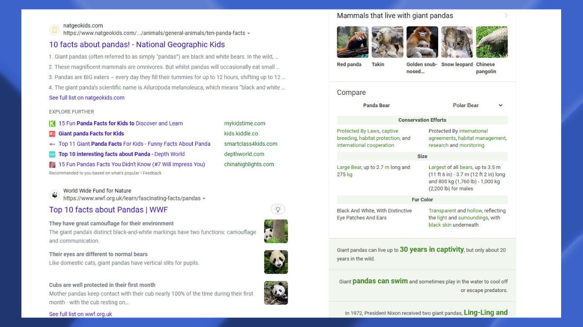 Bing now shows AI-generated captions for some websites | Windows Central