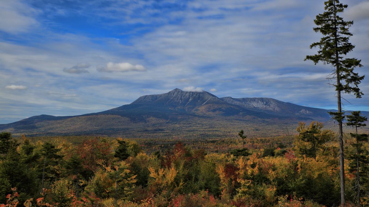 Ts evacnd had been tracking Sunny for some time through the