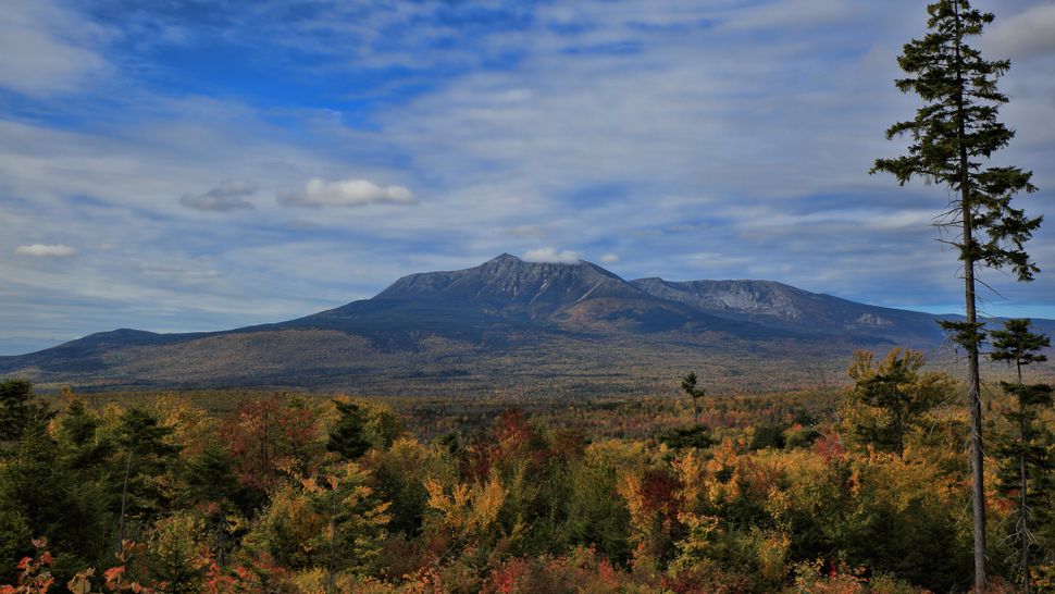 Two separate groups of stranded hikers rescued after spending night on ...