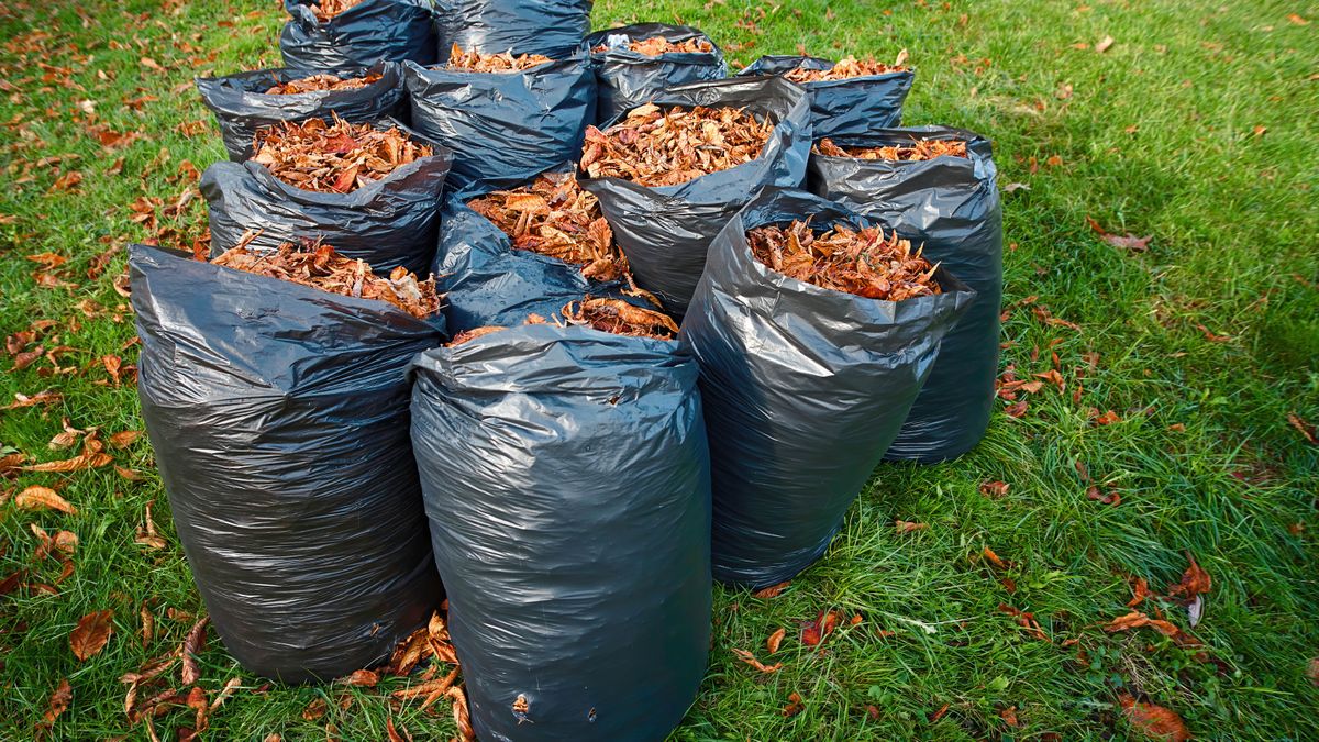 How to rake leaves the easy way — tips and tricks | Tom's Guide