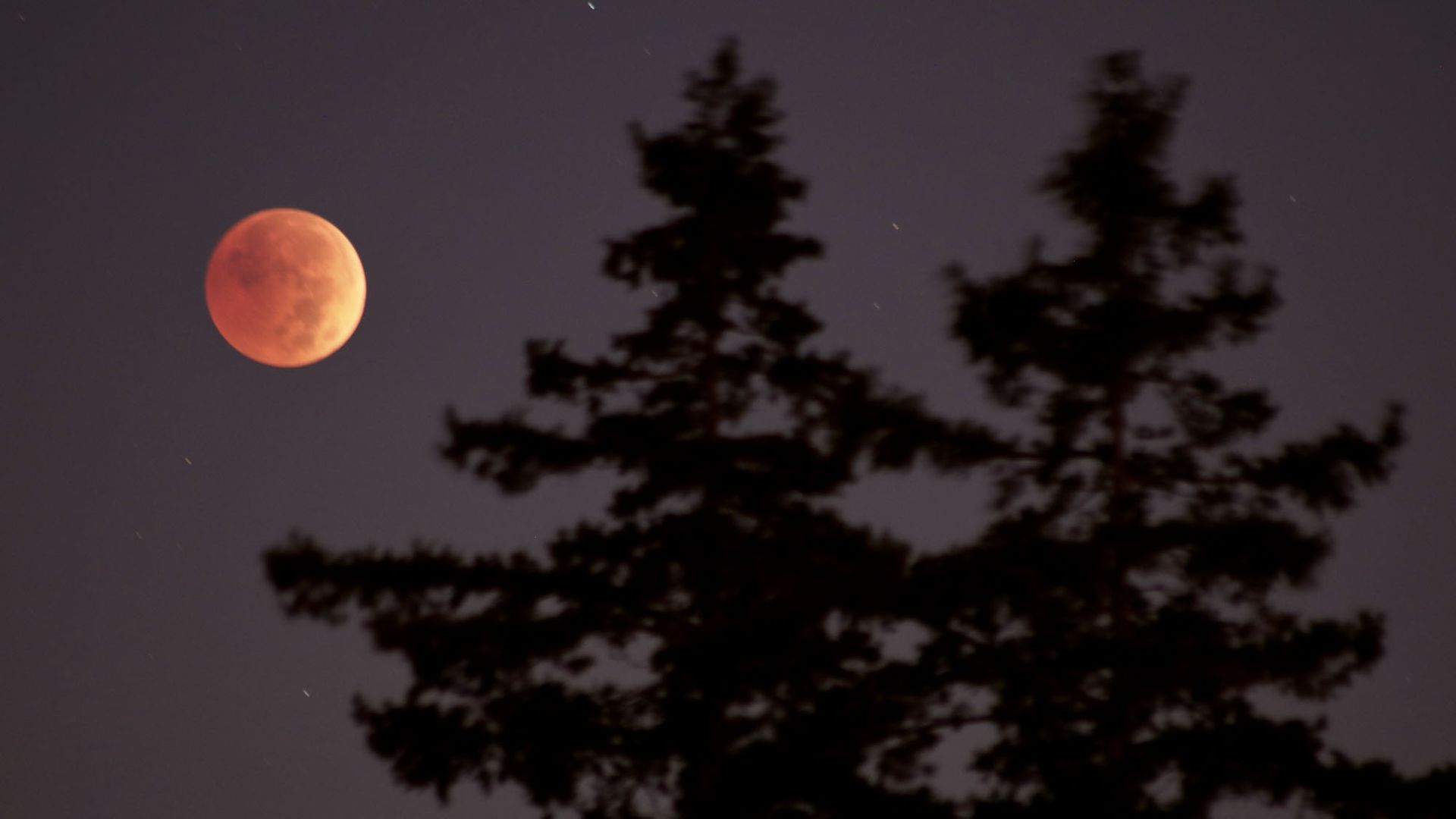 Amazing photos of the last Blood Moon lunar eclipse of 2022 (gallery ...