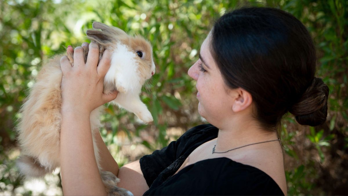 National Pet Week: When is it and how to celebrate | PetsRadar