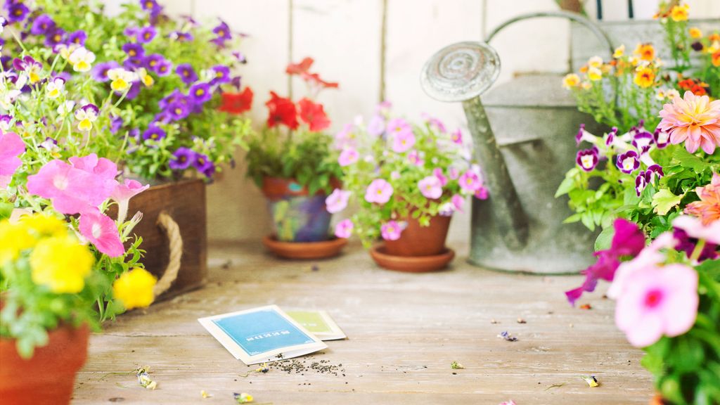how to store seeds properly | Homes and Gardens