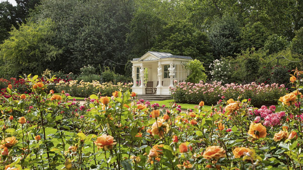 The Queen’s must-have plants for every Royal garden revealed | Gardeningetc